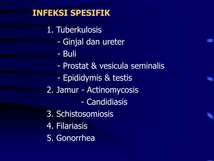 PPT - INFEKSI TRAKTUS UROGENITAL PowerPoint Presentation - ID:290662