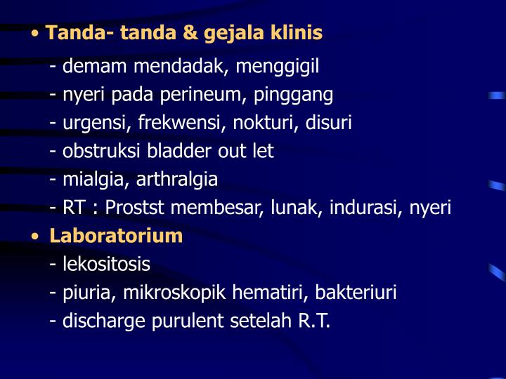PPT - INFEKSI TRAKTUS UROGENITAL PowerPoint Presentation - ID:290662
