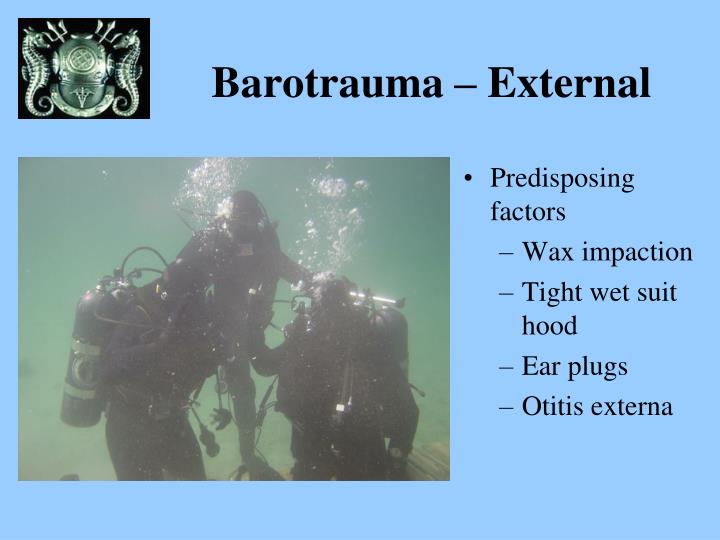 PPT - Diving Medicine: An Overview PowerPoint Presentation - ID:290702