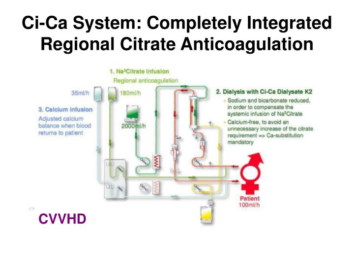 PPT - Regional Citrate Anticoagulation (RCA) in CRRT PowerPoint ...