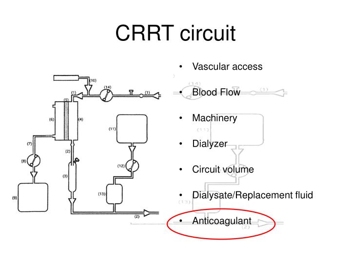 PPT - Regional Citrate Anticoagulation (RCA) in CRRT PowerPoint ...