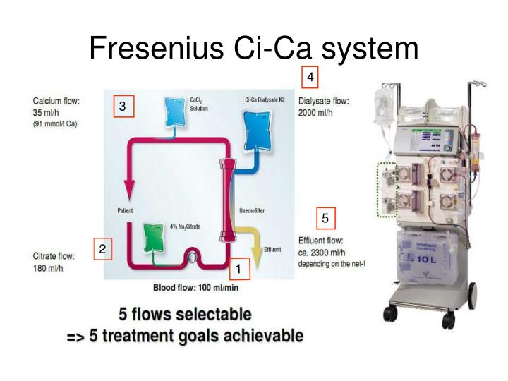 PPT - Regional Citrate Anticoagulation (RCA) in CRRT PowerPoint ...