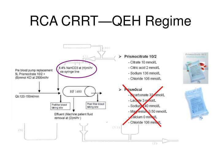 PPT - Regional Citrate Anticoagulation (RCA) in CRRT PowerPoint ...