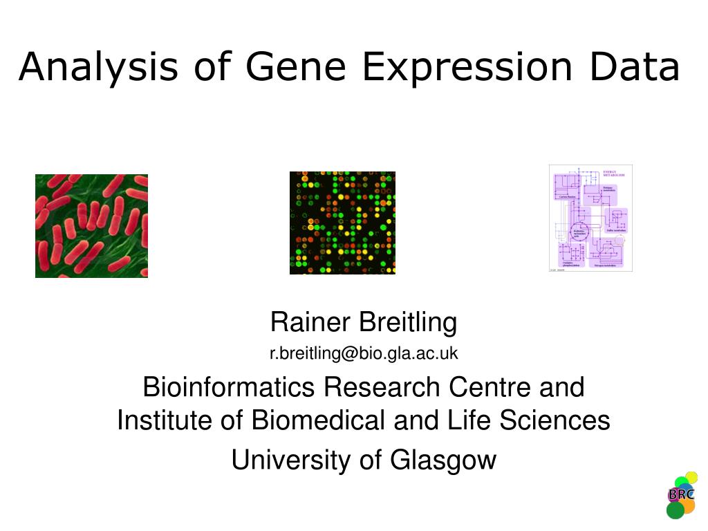 PPT - Analysis of Gene Expression Data PowerPoint Presentation, free ... PPT - Analysis of Gene Expression Data PowerPoint Presentation, free ...