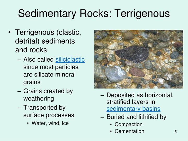 PPT - Sedimentary Rocks and the Origin of Sedimentary Strata PowerPoint ...
