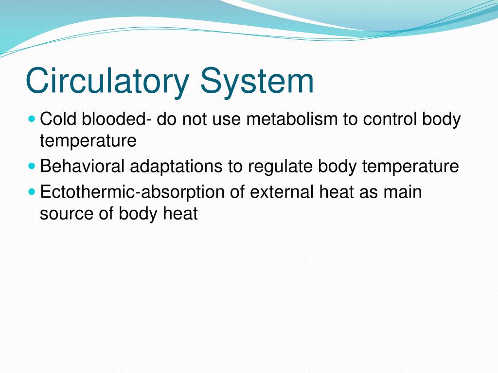 PPT - By: Nikita Mathew, Noor Al-Alusi, Sara Shu Period 3 PowerPoint ...