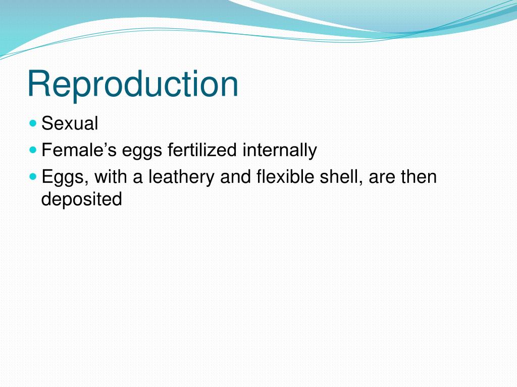 PPT - By: Nikita Mathew, Noor Al-Alusi, Sara Shu Period 3 PowerPoint ...