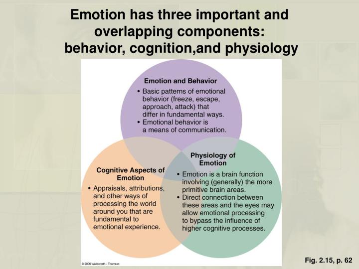 PPT - Chapter 2 An Integrative Approach to Psychopathology PowerPoint ...