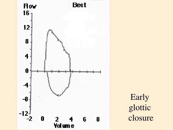 PPT - EMPHYSEMA AND SPIROMETRY Paul R Earl Facultad de Ciencias ...