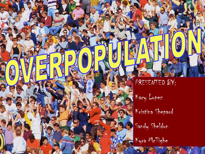 PPT - OVERPOPULATION PowerPoint Presentation, free download - ID:293066