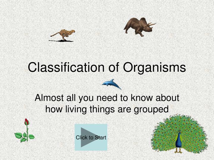 PPT - Classification of Organisms PowerPoint Presentation, free ...