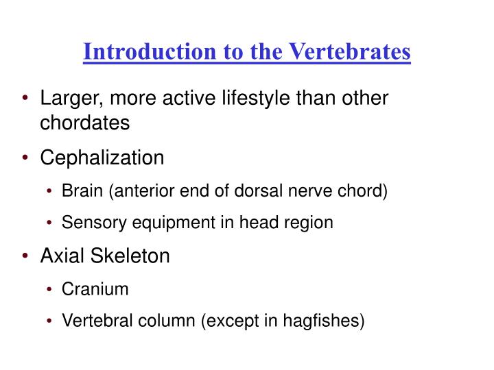 PPT - Vertebrate Evolution: Animals with a vertebral column made of ...