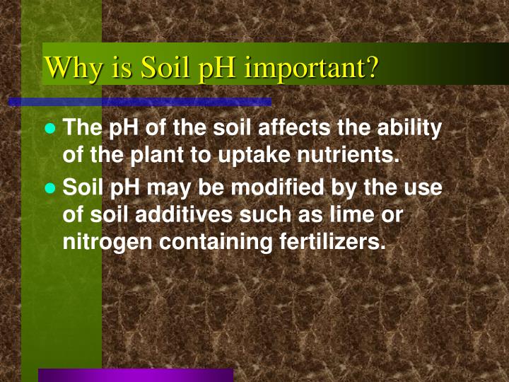 PPT - Soil Quality Test Kit PowerPoint Presentation - ID:294023