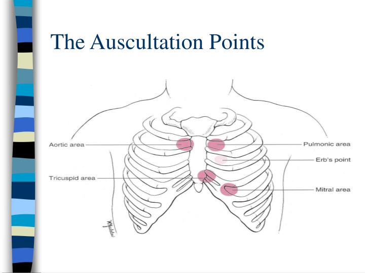 PPT - Clinical Medicine Review PowerPoint Presentation - ID:294232