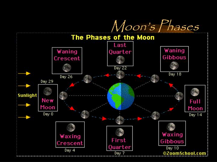 PPT - The Moon: Phases, Tides and Eclipses PowerPoint Presentation - ID ...