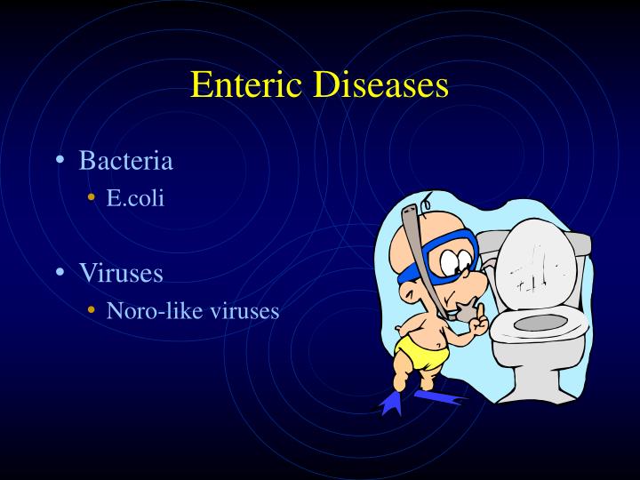 PPT - Public Health: Whatcom County PowerPoint Presentation - ID:295131