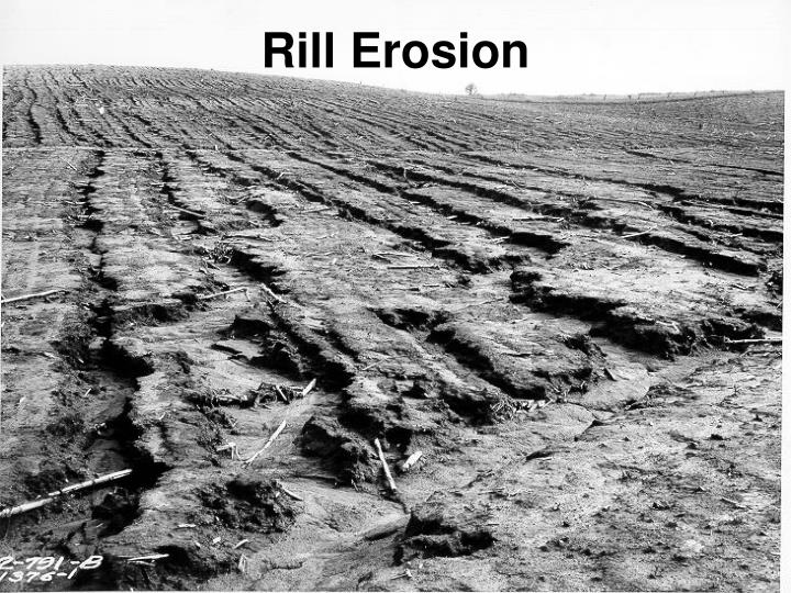 PPT - Soil Erosion by Water PowerPoint Presentation - ID:295177
