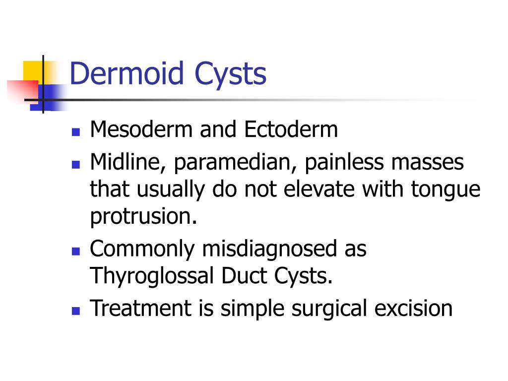 PPT - Embryology of the Neck & Neck Masses PowerPoint Presentation - ID ...