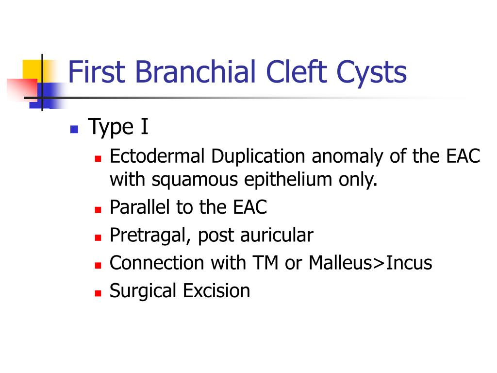 PPT - Embryology of the Neck & Neck Masses PowerPoint Presentation - ID ...