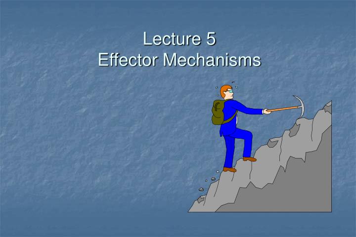 PPT - Lecture 5 Effector Mechanisms PowerPoint Presentation, free ...