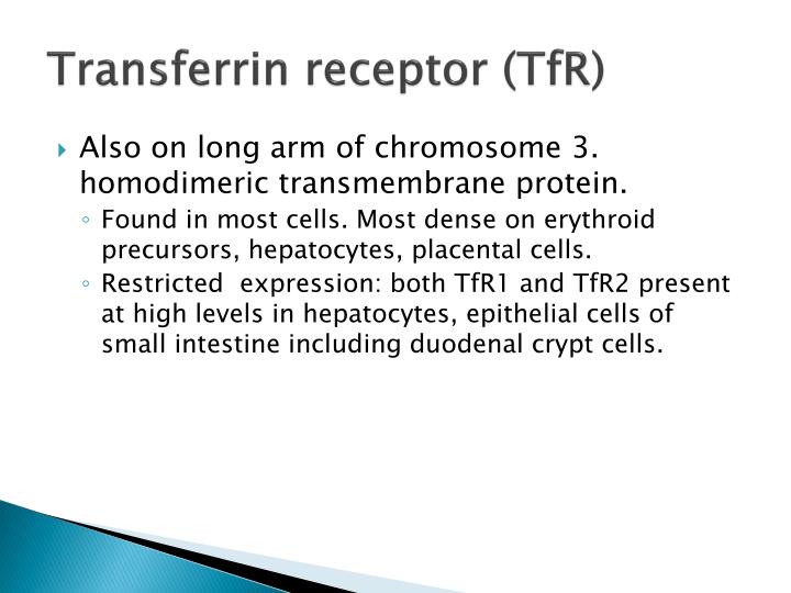 PPT - Iron regulation and metabolism PowerPoint Presentation - ID:295289