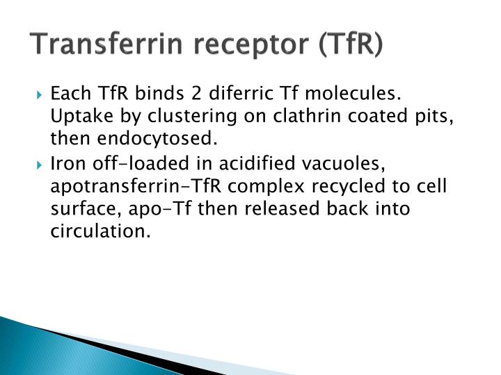 PPT - Iron regulation and metabolism PowerPoint Presentation - ID:295289