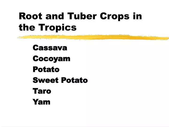 PPT - Root and Tuber Crops in the Tropics PowerPoint Presentation, free ...