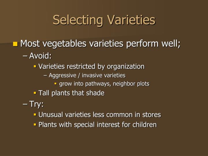 PPT - Plot Style Community Gardening in Minnesota PowerPoint ...
