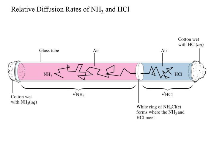 PPT - The Kinetic Molecular Theory of Gases and Effusion and Diffusion ...