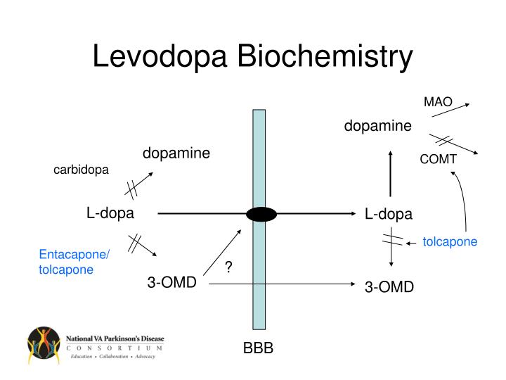 PPT - Diagnosis and Treatment of Parkinson’s Disease PowerPoint ...