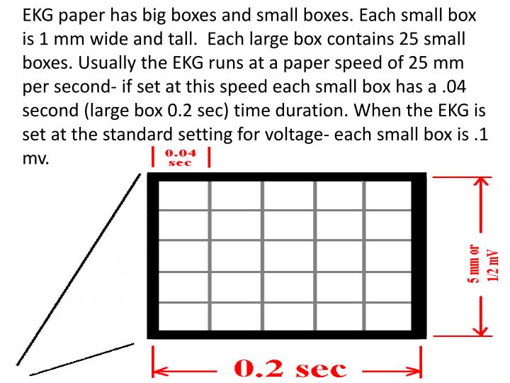PPT - EKG PowerPoint Presentation - ID:296817