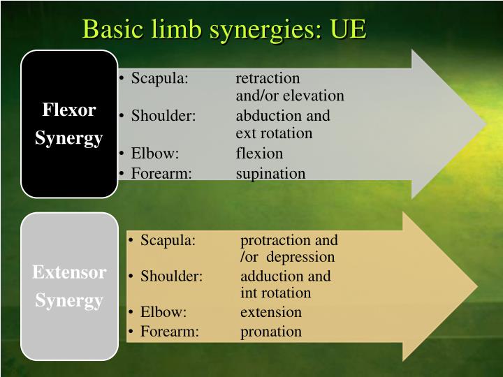 PPT - Approaches to Therapeutic Exercise and Activity for Neurological ...