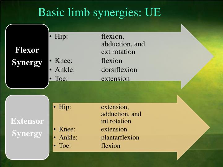 PPT - Approaches to Therapeutic Exercise and Activity for Neurological ...