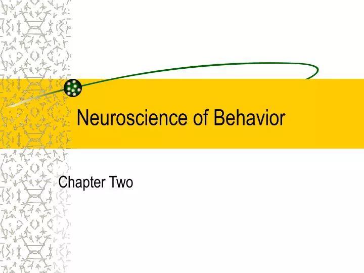 PPT - Neuroscience of Behavior PowerPoint Presentation, free download ...