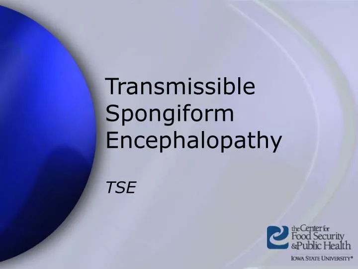 PPT - Transmissible Spongiform Encephalopathy PowerPoint Presentation ...