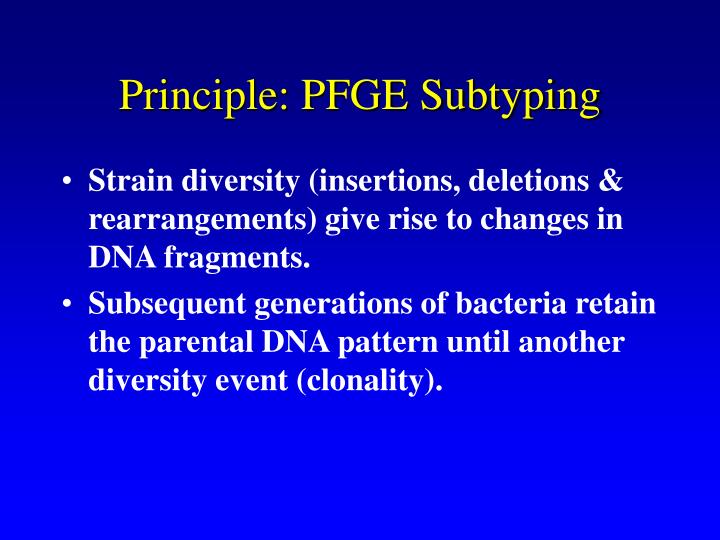 PPT - Pulse Field Gel Electrophoresis (PFGE) Explanation PowerPoint ...