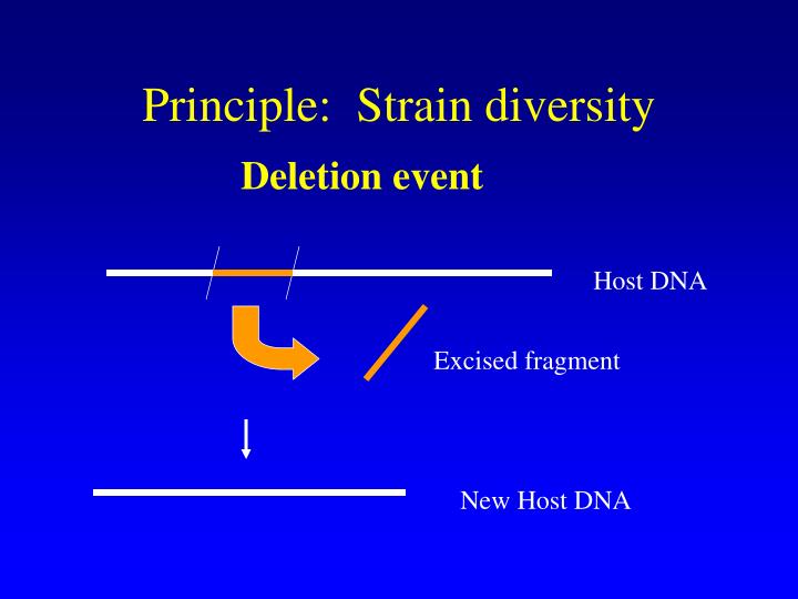 PPT - Pulse Field Gel Electrophoresis (PFGE) Explanation PowerPoint ...