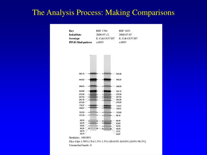 PPT - Pulse Field Gel Electrophoresis (PFGE) Explanation PowerPoint ...