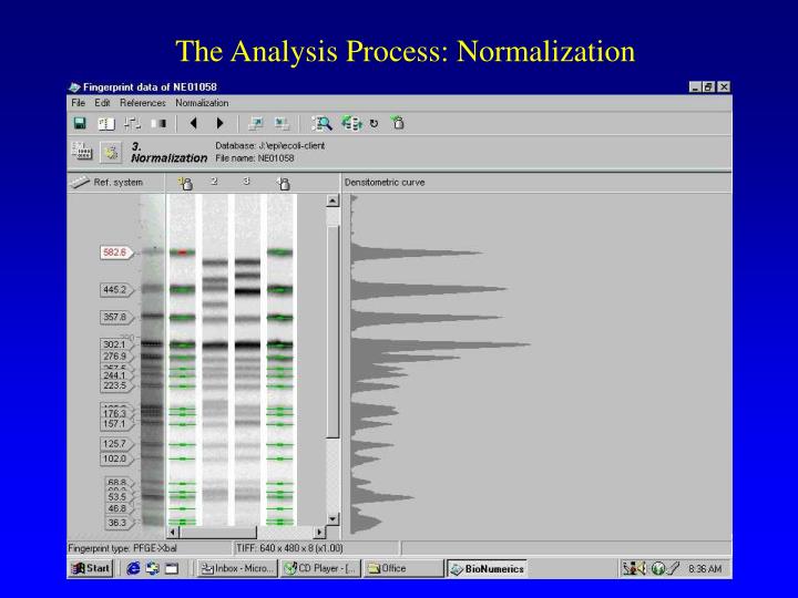 PPT - Pulse Field Gel Electrophoresis (PFGE) Explanation PowerPoint ...
