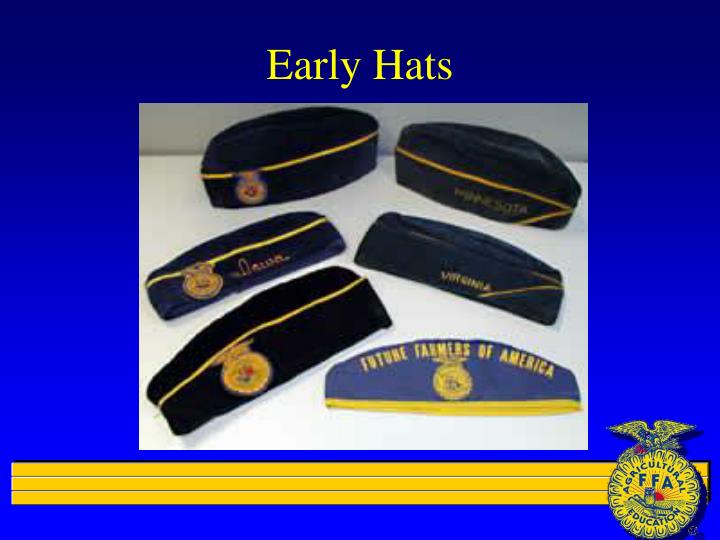 PPT - FFA Basics PowerPoint Presentation - ID:299590