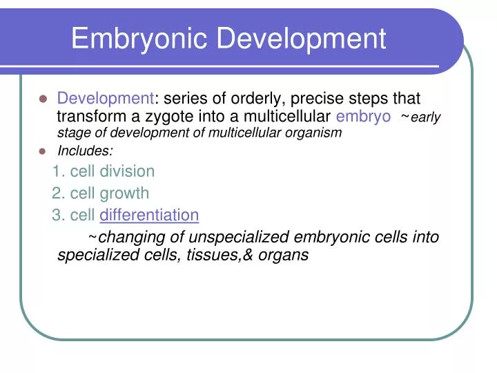 PPT - Embryonic Development PowerPoint Presentation, free download - ID ...