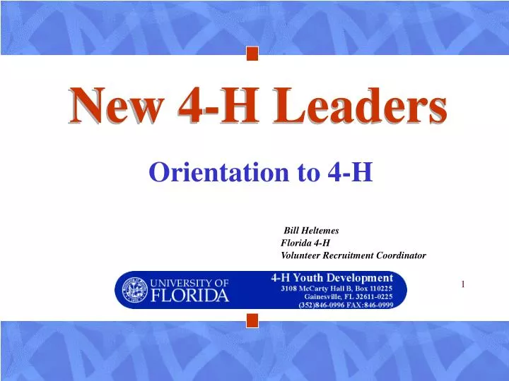 PPT - New 4-H Leaders PowerPoint Presentation, free download - ID:300017