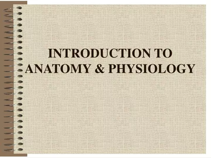 PPT - INTRODUCTION TO ANATOMY & PHYSIOLOGY PowerPoint Presentation - ID ...