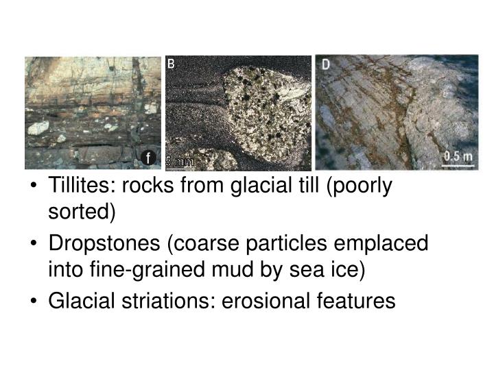 PPT - Tillites: rocks from glacial till (poorly sorted) Dropstones ...