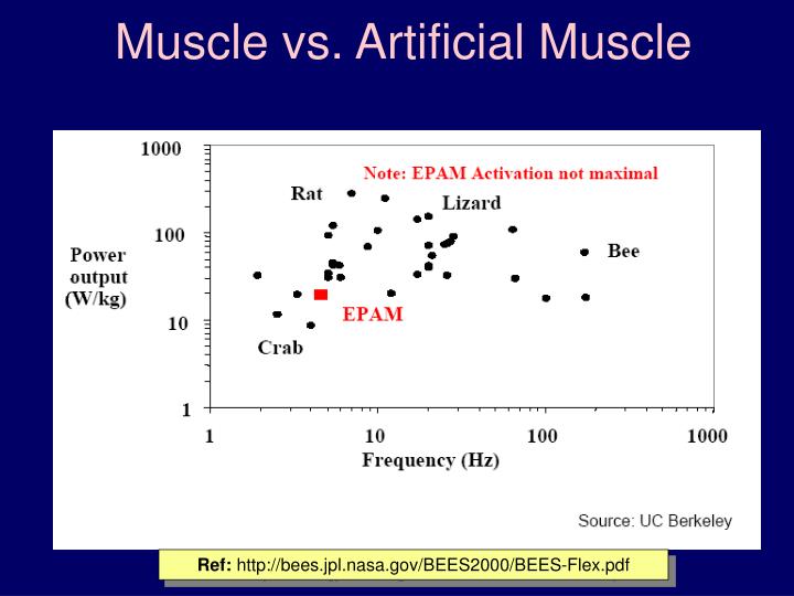 PPT - ARTIFICIAL MUSCLE (with emphasis on Electroactive Polymers ...