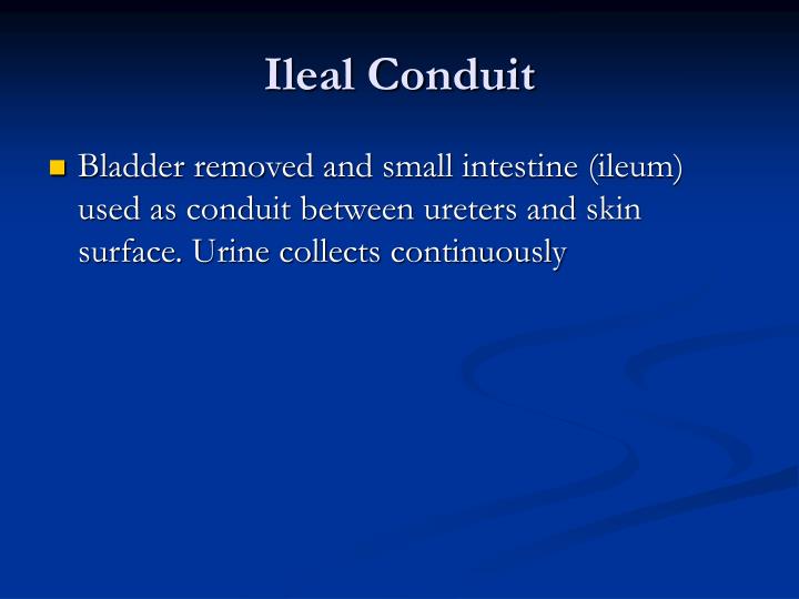 PPT - Urinary Elimination PowerPoint Presentation - ID:301947