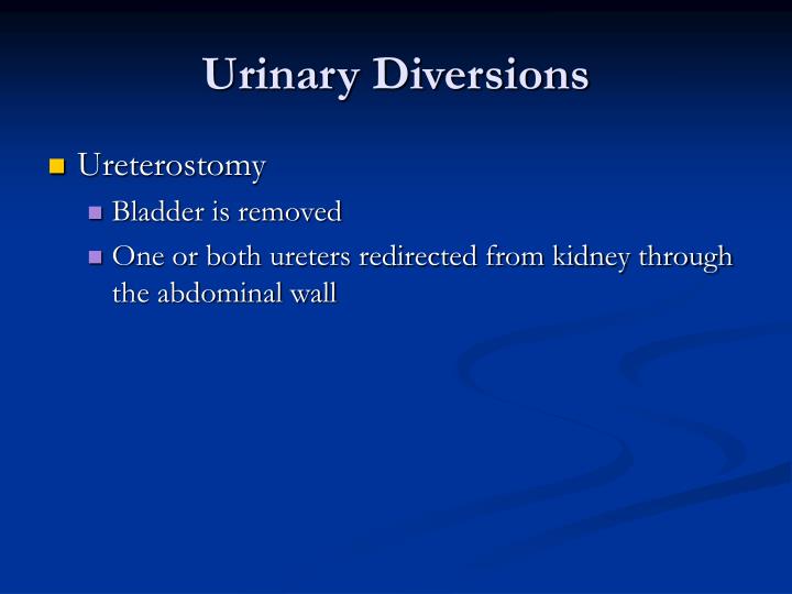 PPT - Urinary Elimination PowerPoint Presentation - ID:301947