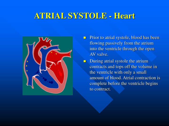 PPT - THE CARDIAC CYCLE PowerPoint Presentation - ID:302210