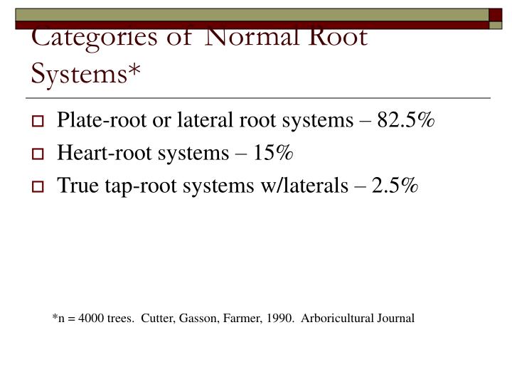 PPT - 15 Years of Root Research PowerPoint Presentation - ID:302761