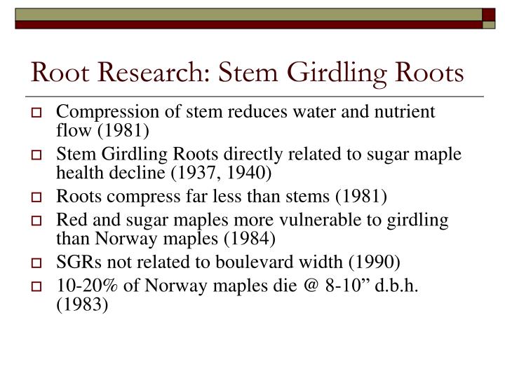 PPT - 15 Years of Root Research PowerPoint Presentation - ID:302761